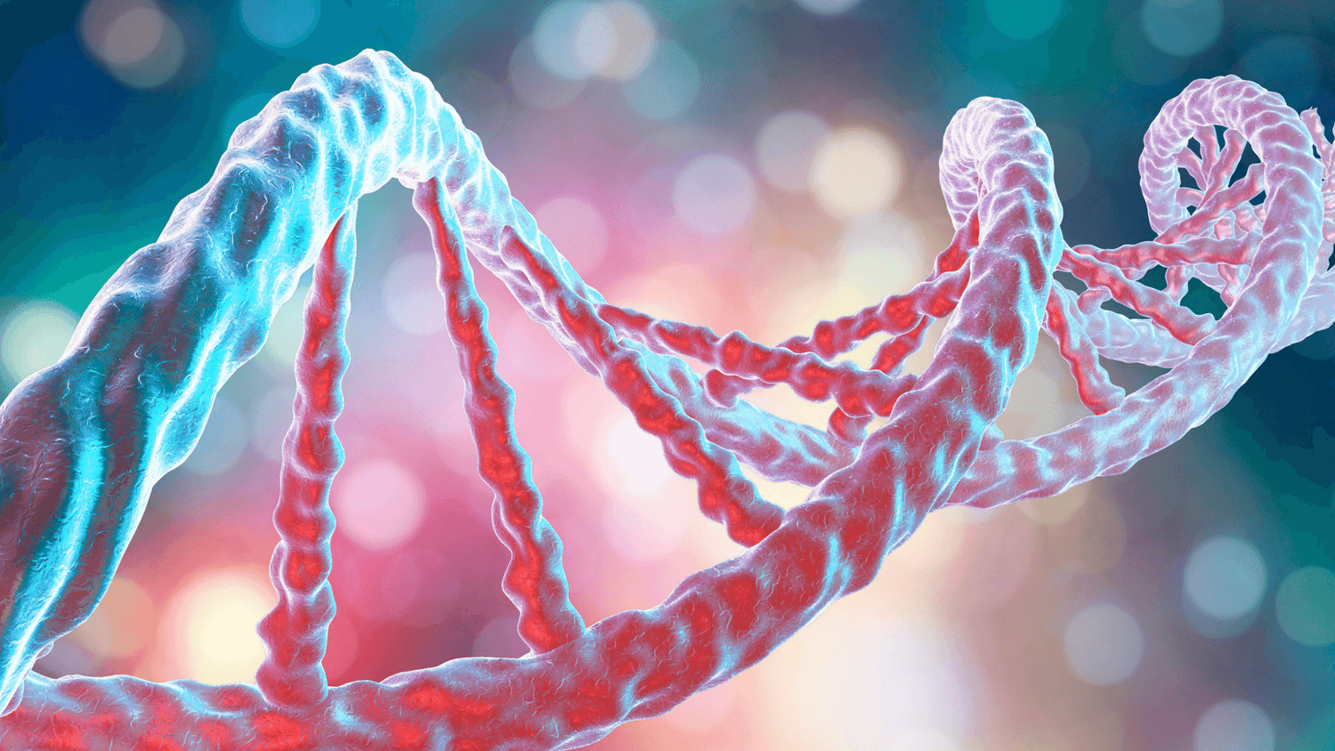 DNA Made Simple – The ABC’s Of Improving Your DNA