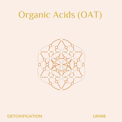 Organic Acids Test (OAT) (74) - Urine