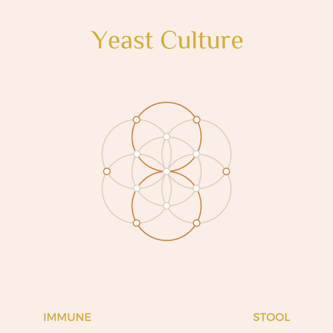 Yeast Culture